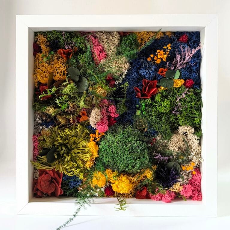 Tableau végétal mousse et plantes naturelles stabilisées, Alex - Flora ...